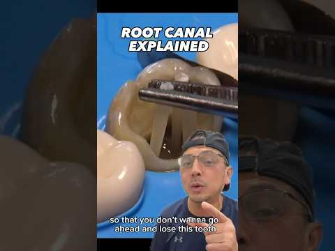 Saving a Tooth with a Root Canal and a Dental Crown | In Office to Hands On Dental Training #shorts