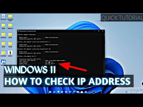 Windows 11: How to check IP address