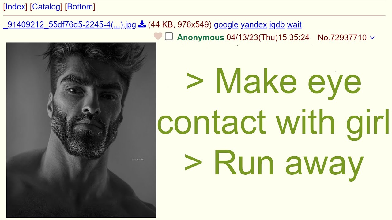 Anon Make Eye Contact With A Girl - 4Chan r/Greentext