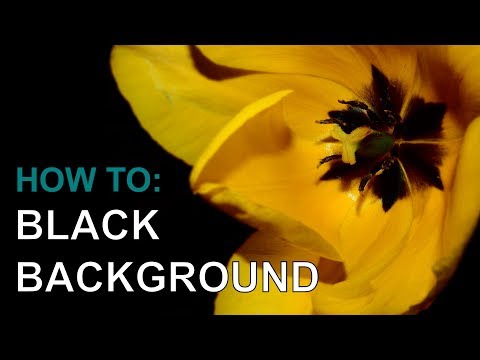 Flower Photography with Black Background using On Camera Flash ep.152