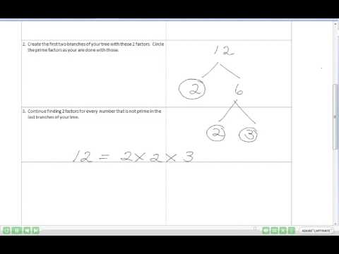 Prime Factorization Skill #3 Math BootCamp