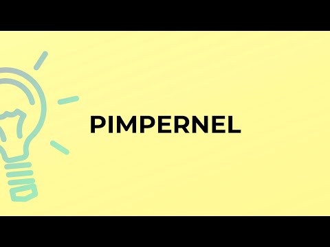 What is the meaning of the word PIMPERNEL?