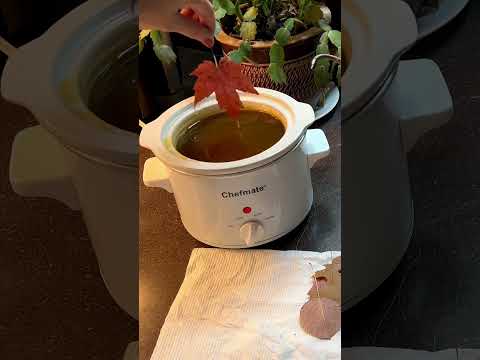 Preserving Autumn Leaves #leafpeeping