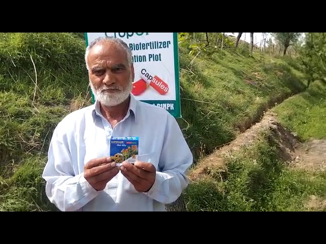 Bio Fertilizers Biocapsules - G1NPK Consortia Bio Fertilizer Gelatin ...