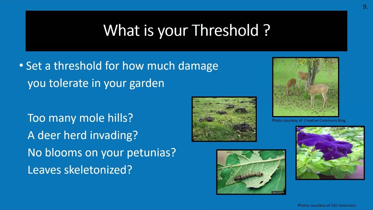 Solving Pest Problems in Your Home Garden with OSU Master Gardeners 2025
