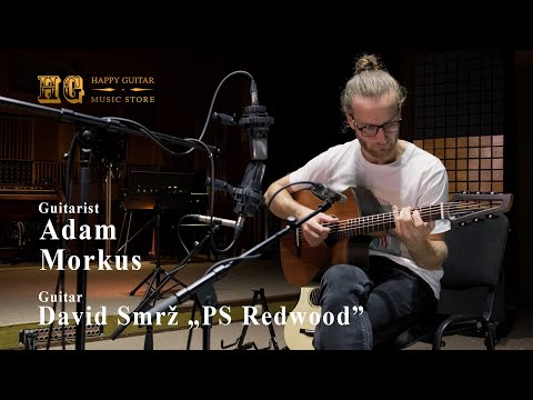 David Smrz (Salz Guitars) acoustic guitar – redwood and black | Reverb