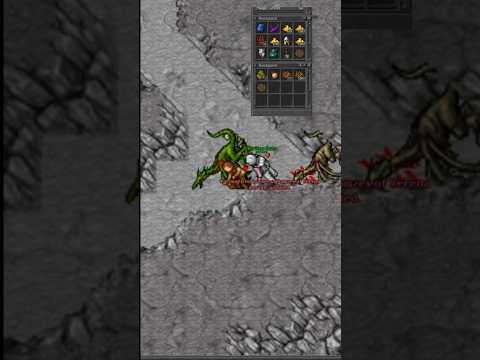 RP 59 INVADED A RED SKULL’S RESPAWN AND PAID THE PRICE (Xerena 2006) #oldtibia