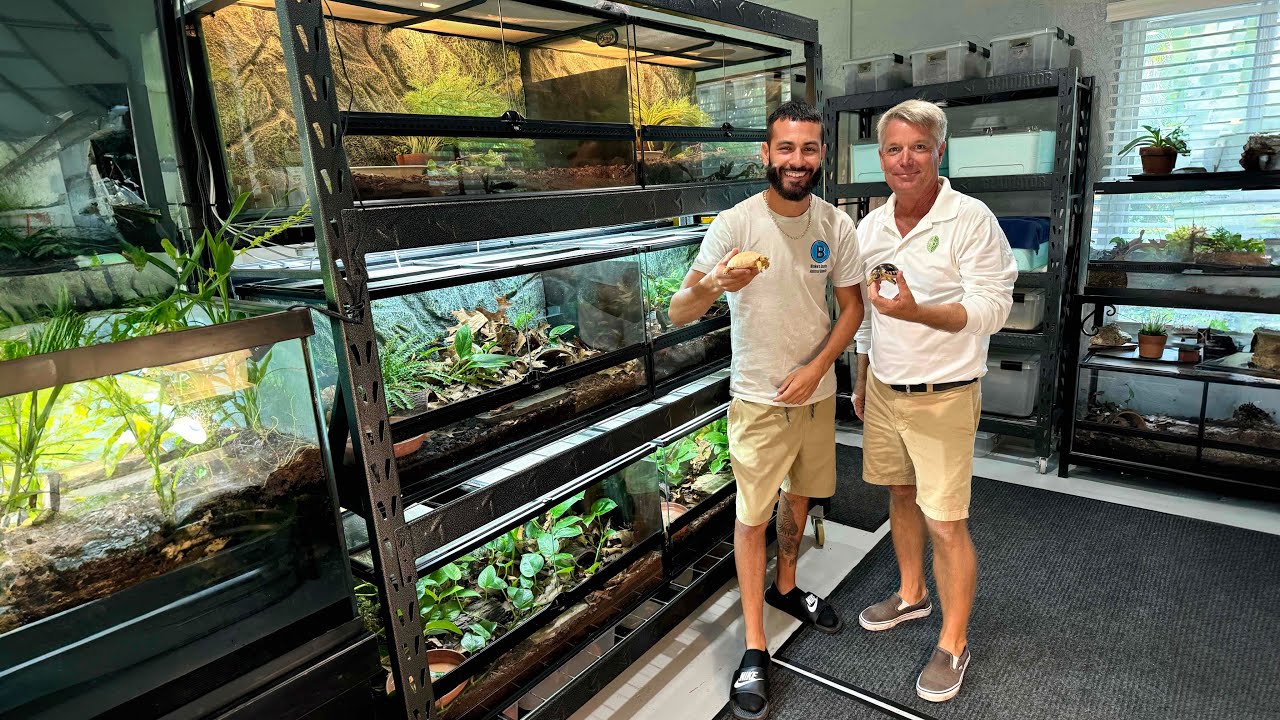 I Found the COOLEST Turtle Collection in Florida!