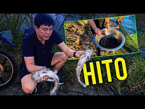 NAGHARVEST AKO NG HITO AT SEMILYA | Romeo Catacutan - Idol Tiktok