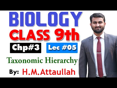 Taxonomic Hierarchy | Chapter 3 | 9th class Biology | Lec.5