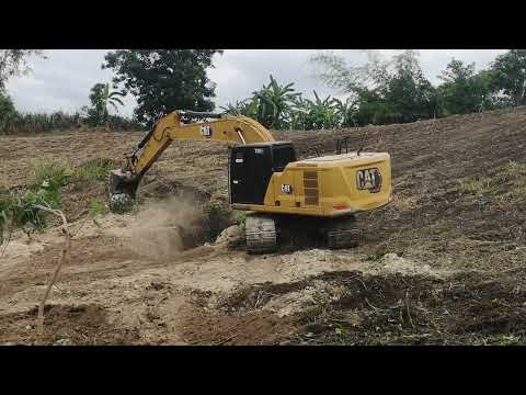 CAT320GCเริ่มขุดกลบกิ่งไม้