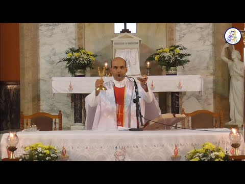 HOLY MASS – OLPS CHURCH, CHEMBUR, MUMBAI, INDIA – The POSITIVE Catholic