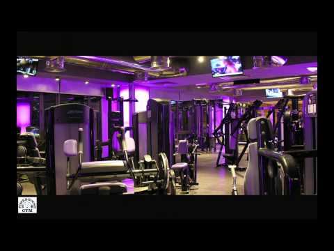 Powerhouse Gym Sheikh Zayed