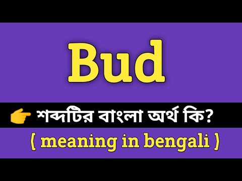 Bud Meaning in Bengali || Bud শব্দের বাংলা অর্থ কি? || Word Meaning Of Bud
