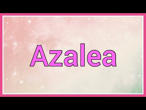 Azalea | Name Origin Meaning Variations
