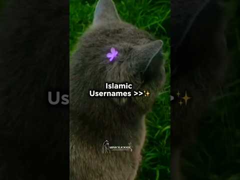 Aesthetic Islamic Username Ideas #trending #viral #shorts #shortsfeed #popular #explore #xplorer