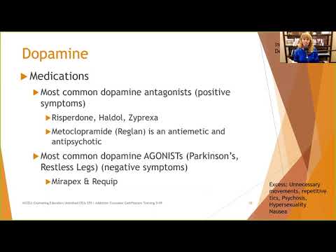 The Fascinating World of Neuropsychobiology & Neurotransmitters