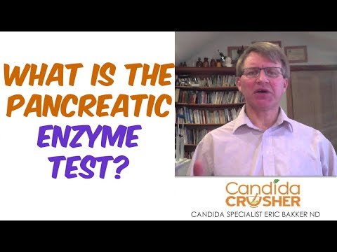 What Is The Pancreatic Enzyme Test?