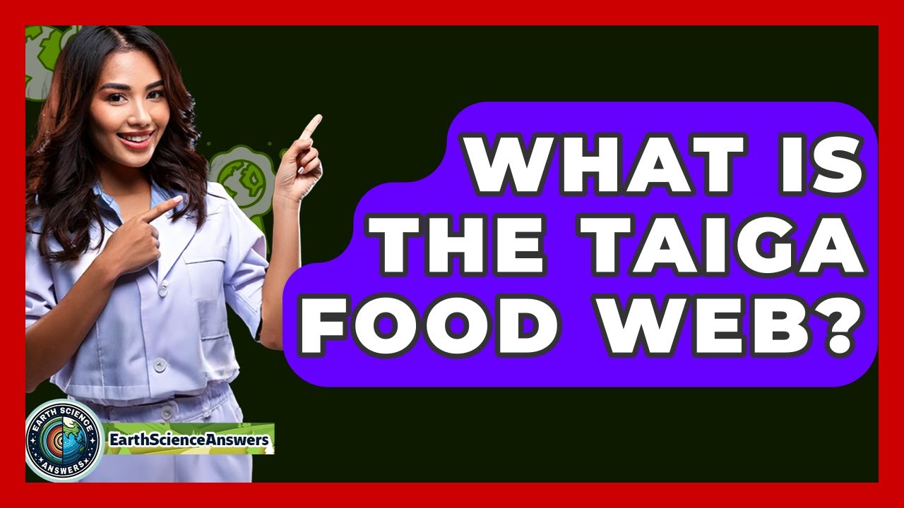 What Is The Taiga Food Web? - Earth Science Answers