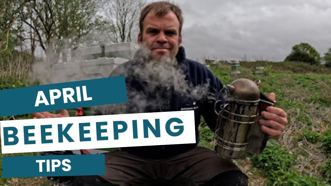 April Beekeeping – 10 Critical Things You Must Do Right Now