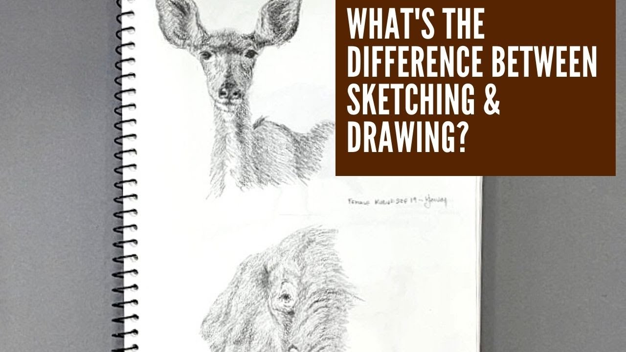 What's the difference between sketching and drawing?