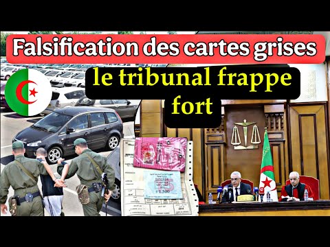 Trafic des cartes grises de voitures - le tribunal d'Alger frappe d'une main de fer