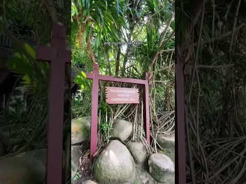 Riding Bikes on Sentosa Island | Singapore