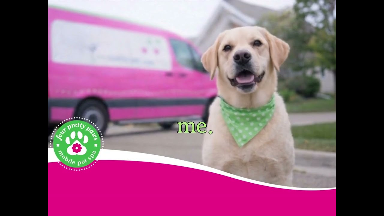Lab 🐾📑  | Four Pretty Paws Mobile Grooming