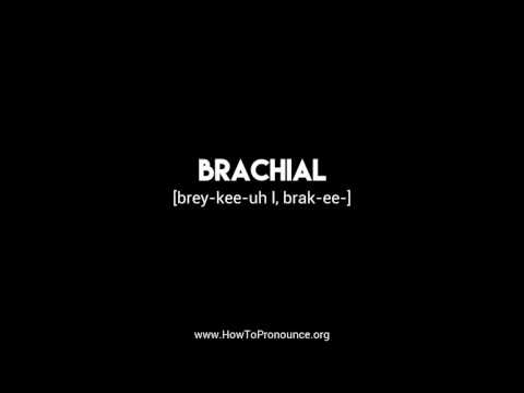 How to Pronounce "brachial"