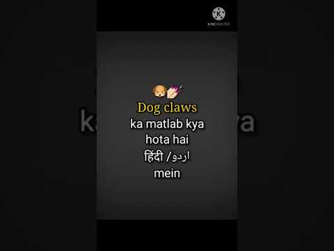 Dog claws meaning in HINDI/URDU | Dog claws Pronunciation | Dog claws Sentence | LFU Channel