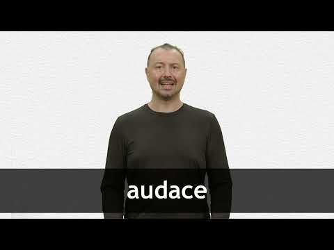 English Translation of “AUDACE” | Collins French-English Dictionary