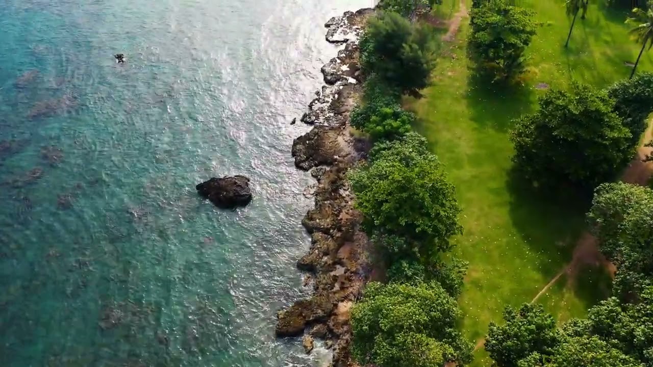 2169880 uhd 3840 2160 30fps