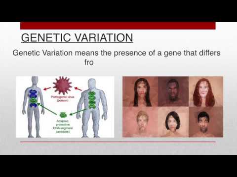 Causes and Classification of Human Genetic Disorders | Physiology | General Medicine