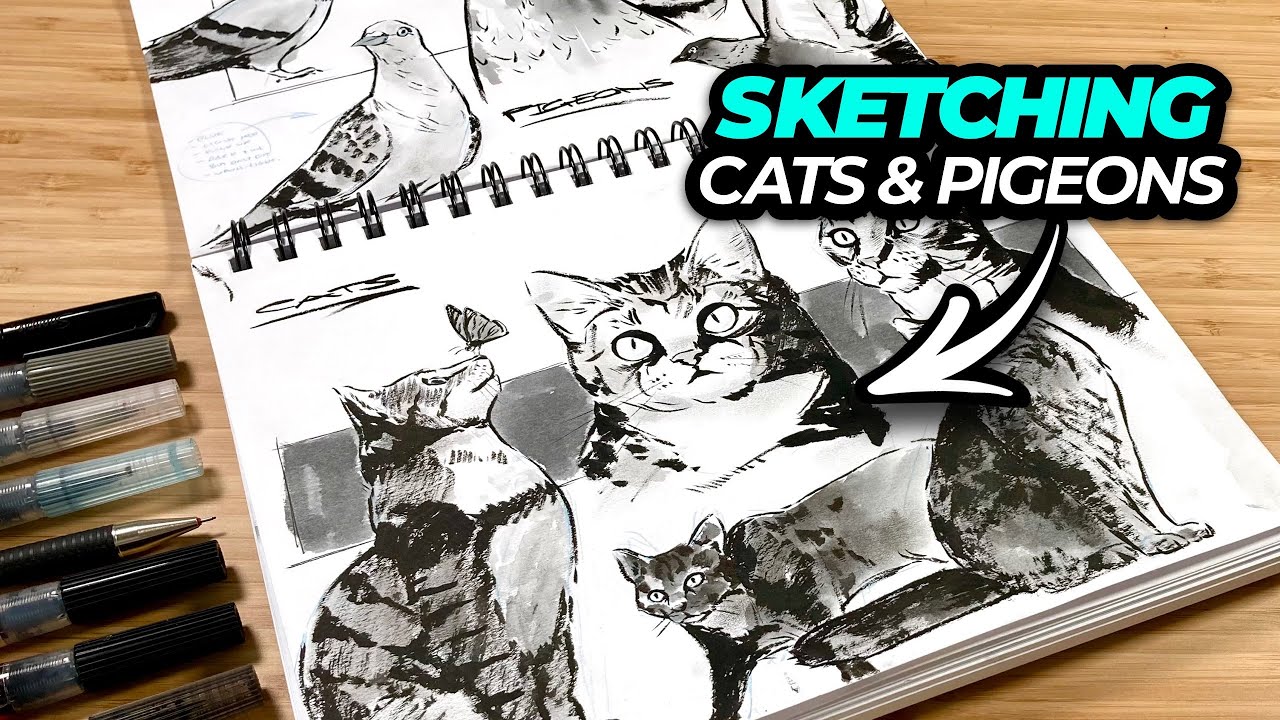 BEST way to learn how to DRAW a reference (Start a new project with me!)