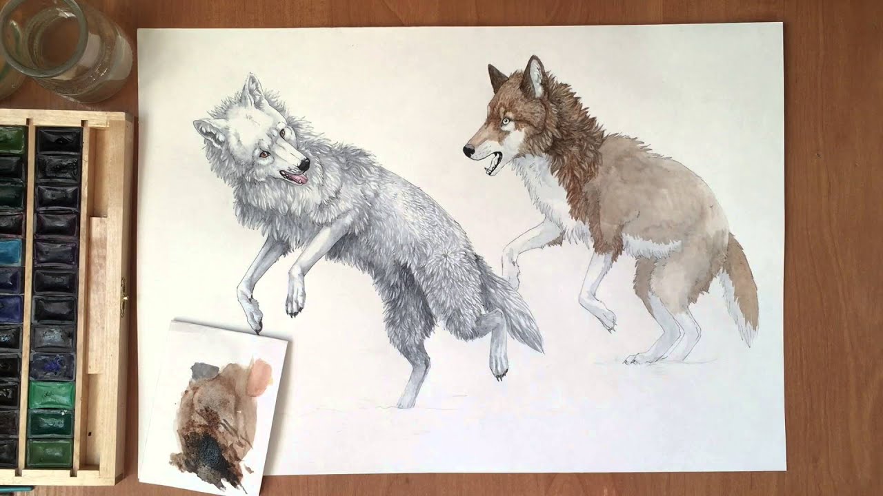 Wolves Speedpainting (Part 2)