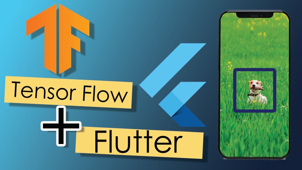 Flutter TensorFlow lite | Basic Setup | Object Recognition | MobleNetSSD
