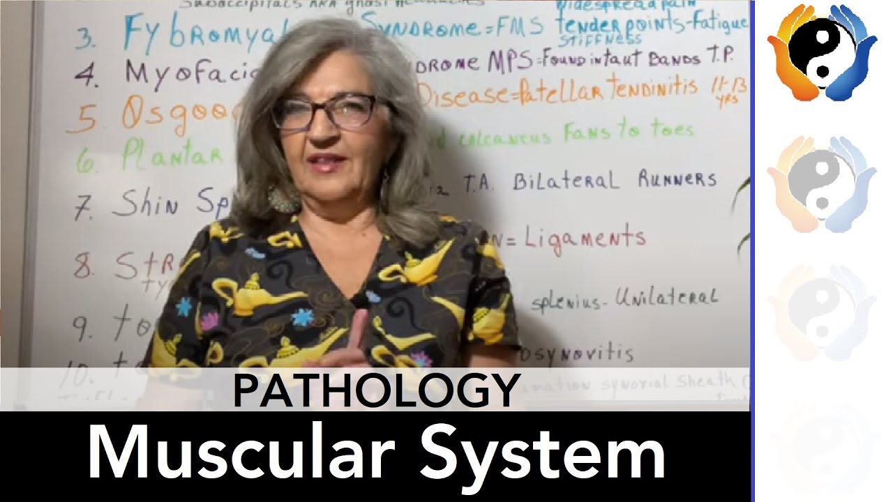 Muscular System Pathologies