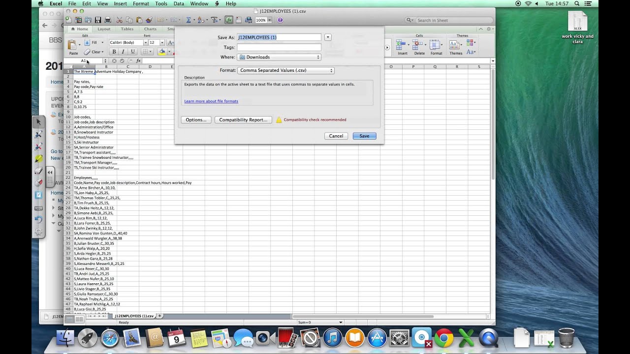 CSV FILE PROBLEMS