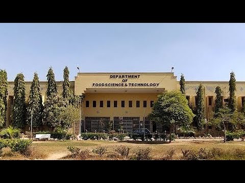 WORLD FOOD DAY | UNIVERSITY OF KARACHI | FOOD SCIENCE & TECHNOLOGY DEPARTMENT | MURTAZA WAHAB | UOK