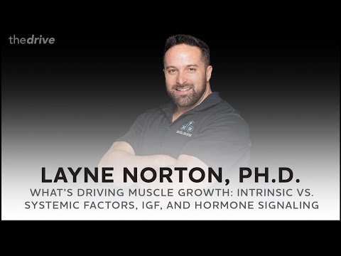What’s driving muscle growth: intrinsic vs. systemic factors, IGF, and hormone signaling