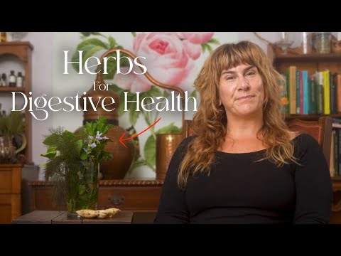 Aromatic Herbs for Digestion