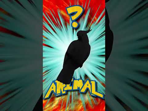 Who's That ANIMAL?! (ep. 44) #shorts #animals #quiz | Animal Fact Files