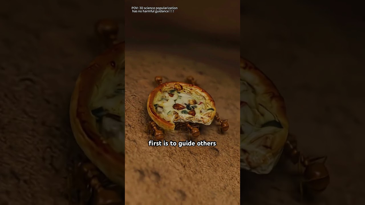 Why do Ants walk in a Straight Line？ (3D Animation)  #3danimation #3d #ant #anttrap