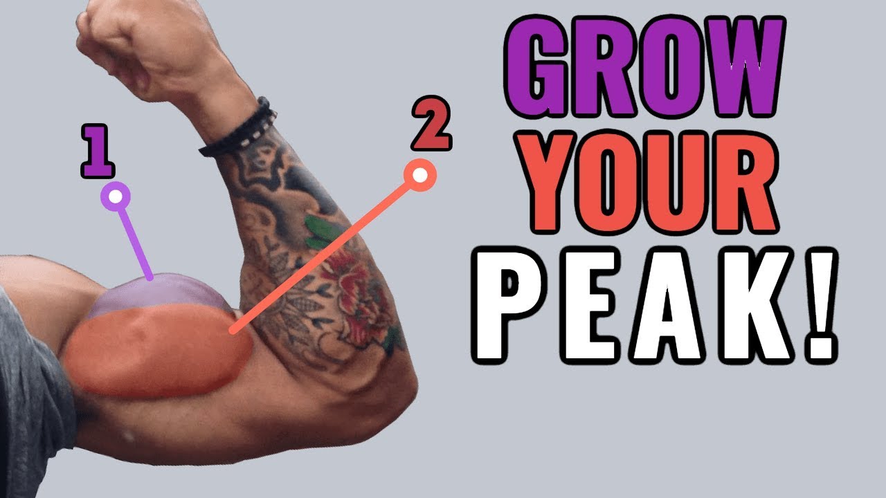 How to Grow Your Biceps Peak (4 Science-Based Tips)