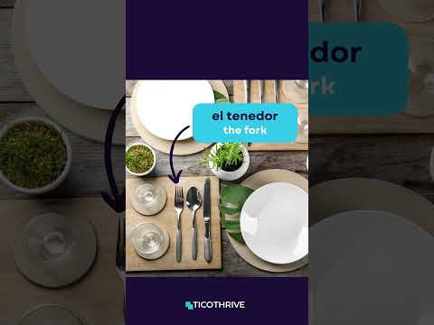 La Mesa - The Table (Part 1) - COSTA RICAN SPANISH #costarica #spanish #learnspanish