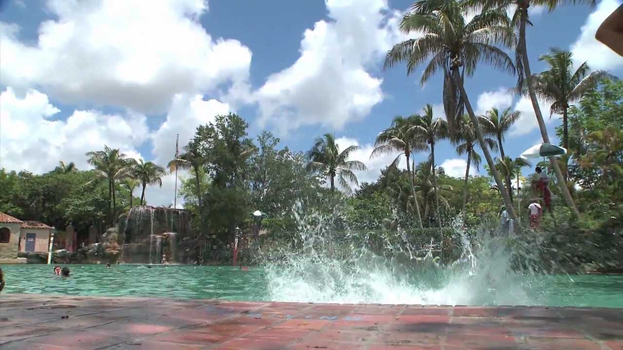 Visit Miami's Best Attractions | Miami & Miami Beach