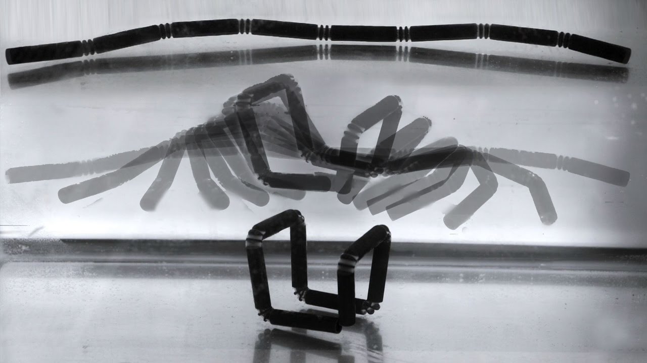 What is 4D Printing?