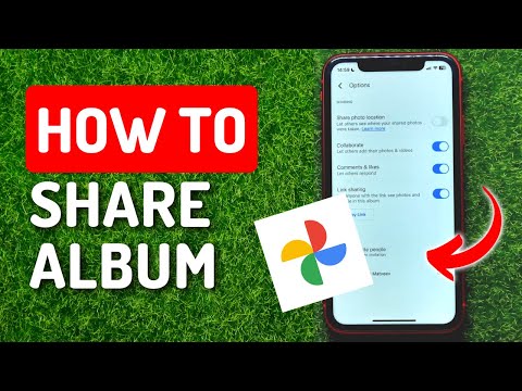 How to Share an Album on Google Photos App