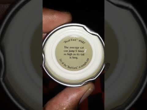 SNAPPLE REAL FACT