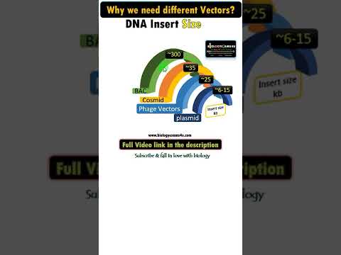 Why we need different Gene Cloning Vectors?